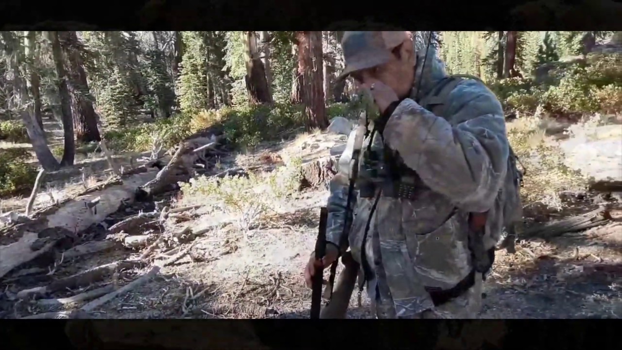 Zone D8 Deer Hunting 2019 - YouTube