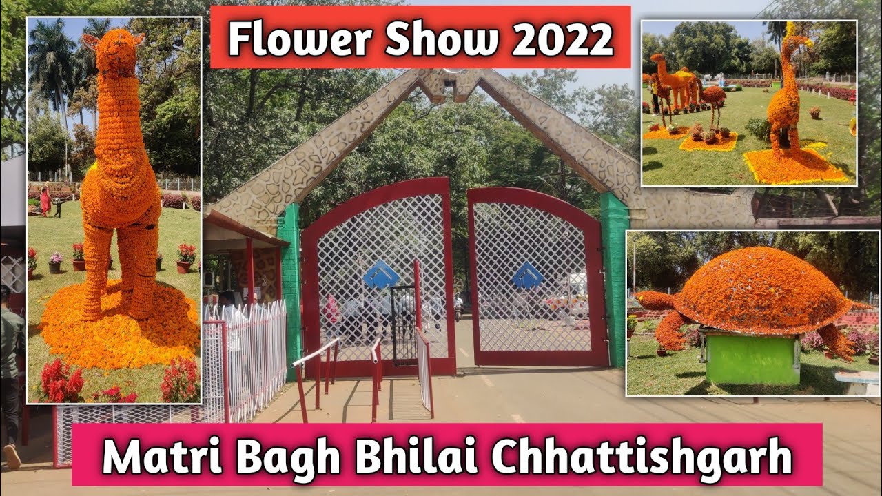 Flower Show 2022 ll Matri Bagh Bhilai ll CG #bhilai #bhilaicity #viral ...