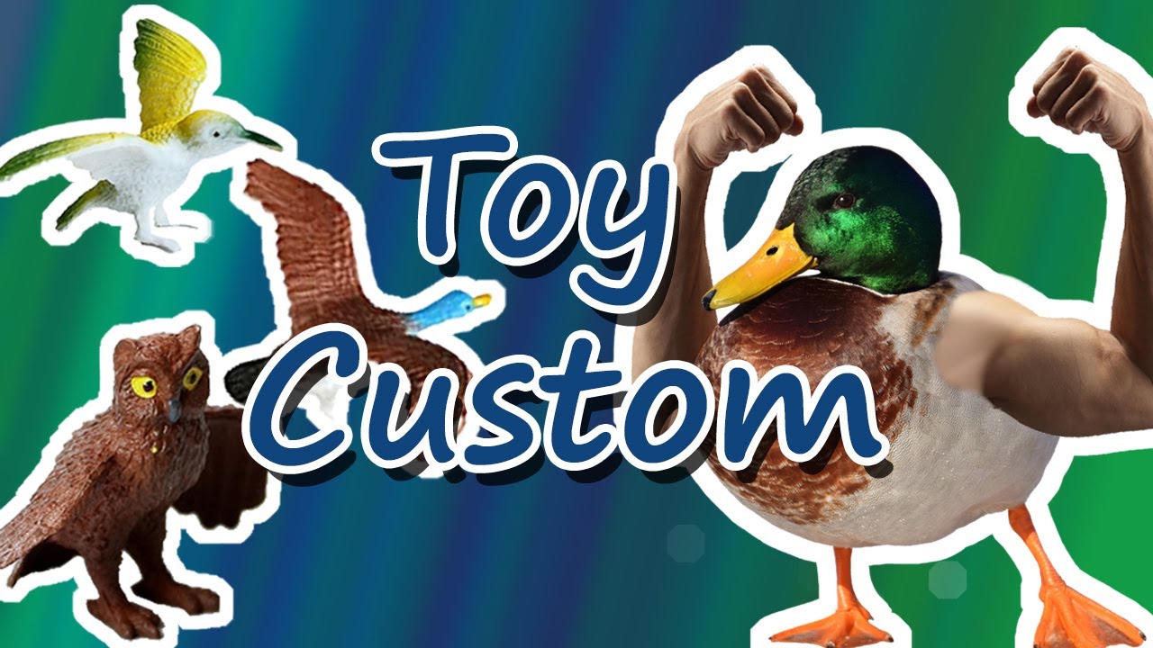 TOY CUSTOM - Turning meh Bird toys 🐥 into Gym-bro Birds with arms 💪 ...