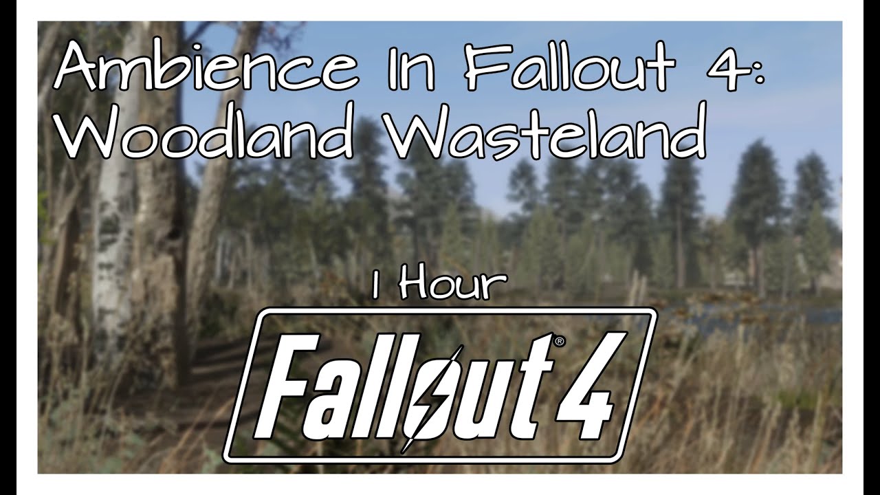 Fallout 4 Ambience: Woodland Wasteland - YouTube