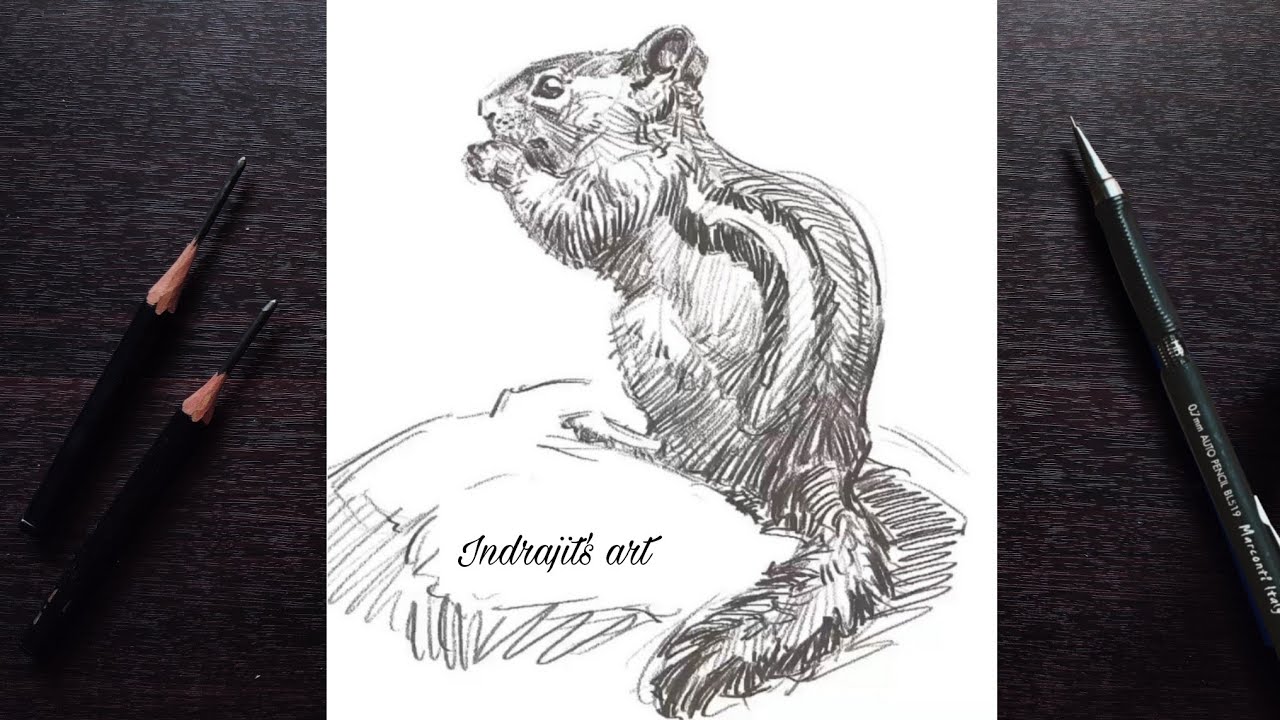 How to draw Squirrel using a Black pen - TIME LAPSE | @DRAWINKLE1M ...