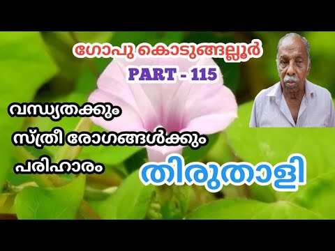 THIRUTHALI || THIRUTHALI PLANT || THIRUTHALI PLANT USES IN MALAYALAM ...