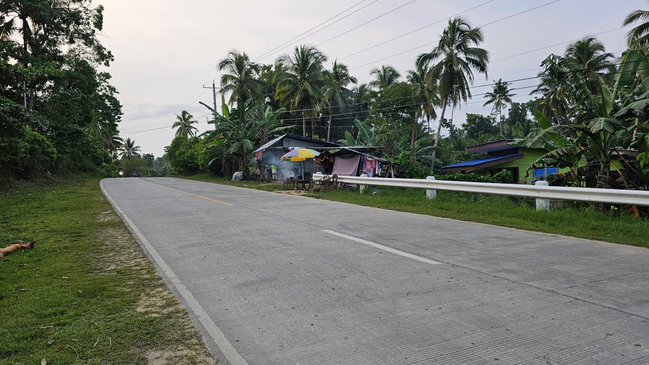 7.9 hectares lot for sale highway at Tubigon Bohol Philippines 300/sqm ...