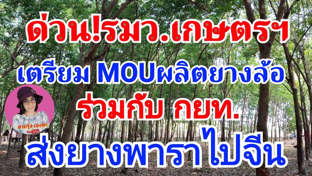 ด่วน!รมว.เกษตรฯเตรียมทำMOUผลิตยางล้อร่วมกับกยท.ส่งยางไปตลาดจีน - YouTube