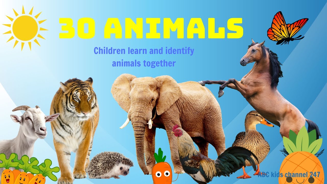 Teaching children to recognize animals | animal sounds and pictures ...
