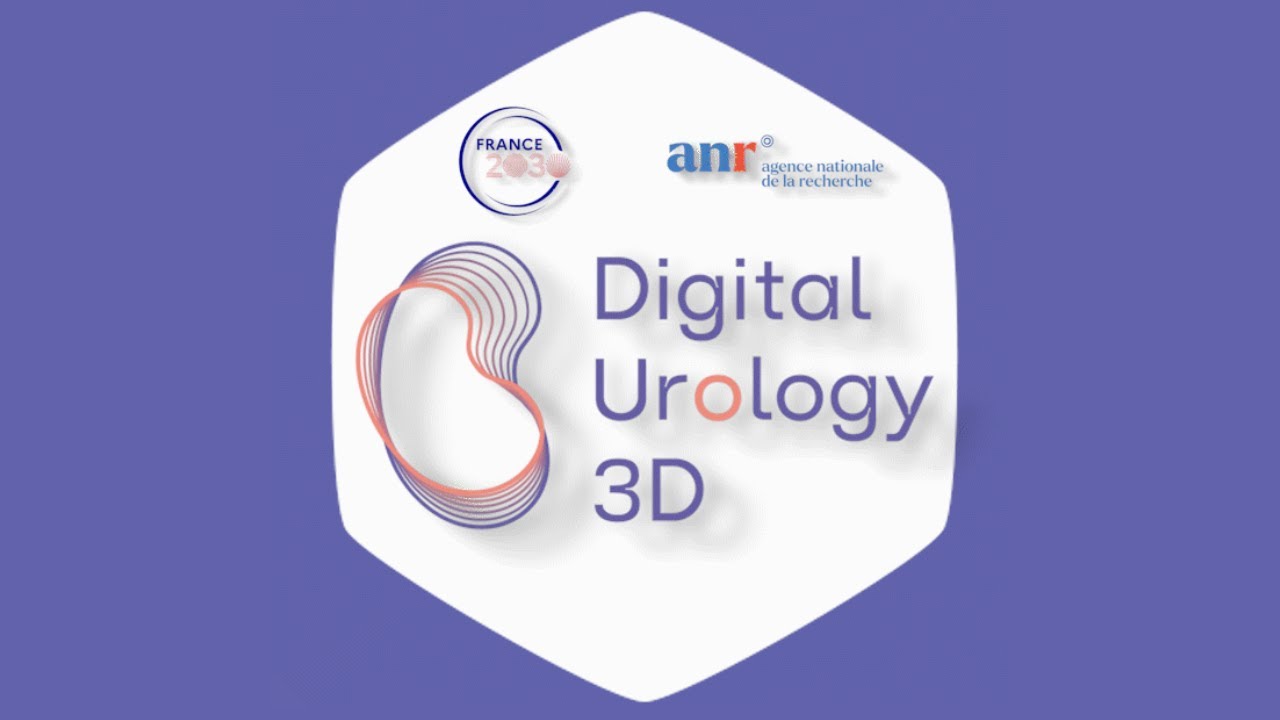 RHU Digital Urology 3D - CHU de Bordeaux - YouTube