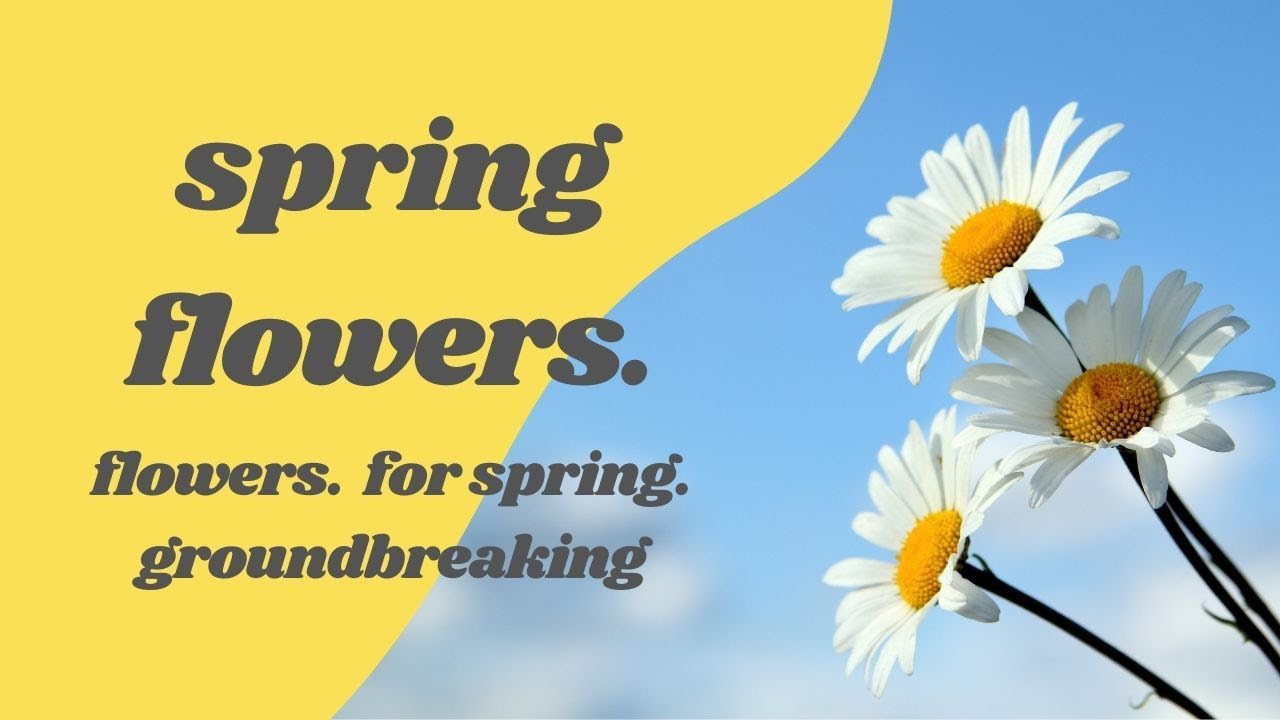 Kitting Up Spring Flowers and "Get to Know Me" Question - YouTube