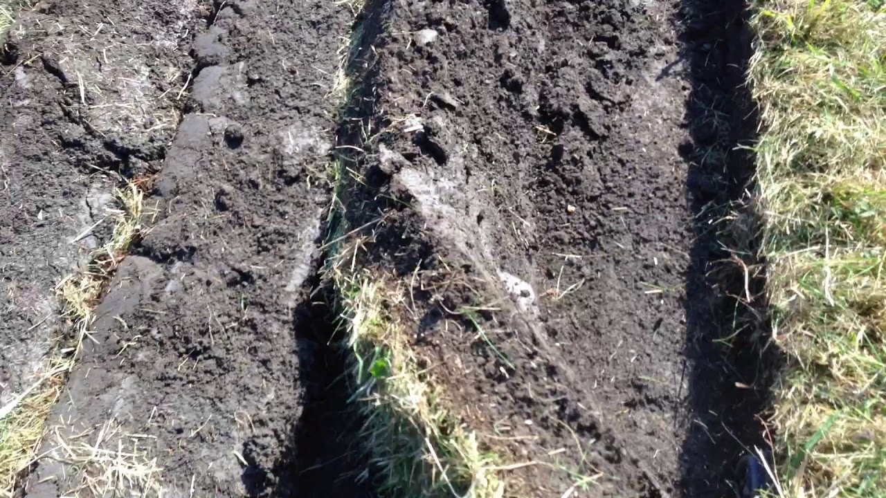 Farmall Super A breaking Sod 12" Plow Tractor Plowing Ploughing - YouTube