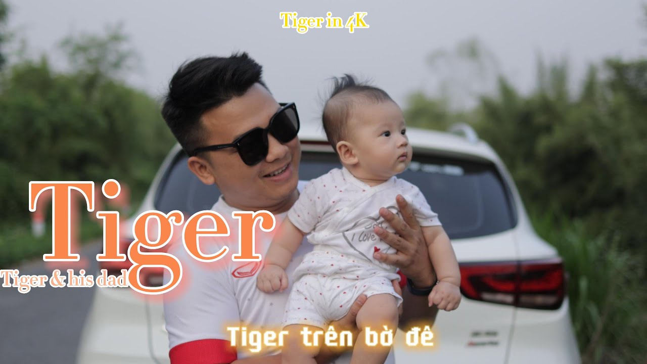 189 - Tiger chơi ở bờ đê với PApa - YouTube