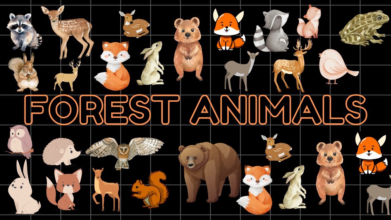 10 Forest Animals Names For Kids | Learn Forest Animals Names For Kids ...