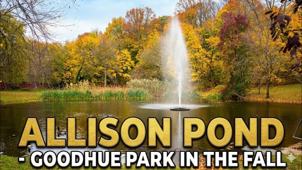 Allison Pond - Goodhue Park In The Fall - YouTube