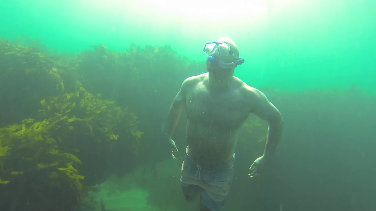 Mettams Pool Snorkelling - Swim throughs, caves, huge schools of fish ...