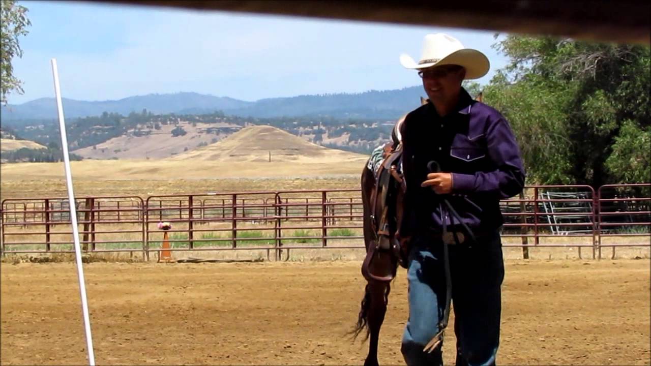 Joey and Roscoe 2nd place winners by Ellen Holcomb - YouTube