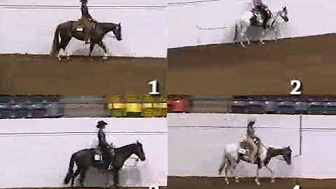 Horse judging - YouTube
