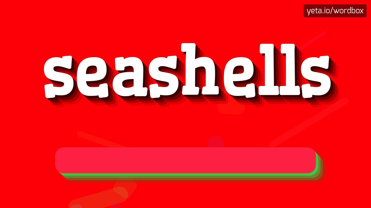 SEASHELLS - HOW TO PRONOUNCE IT!? - YouTube