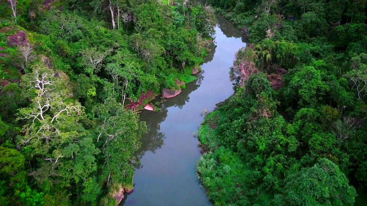 The Beautiful Scenery at Sogeri in Papua New Guinea - YouTube