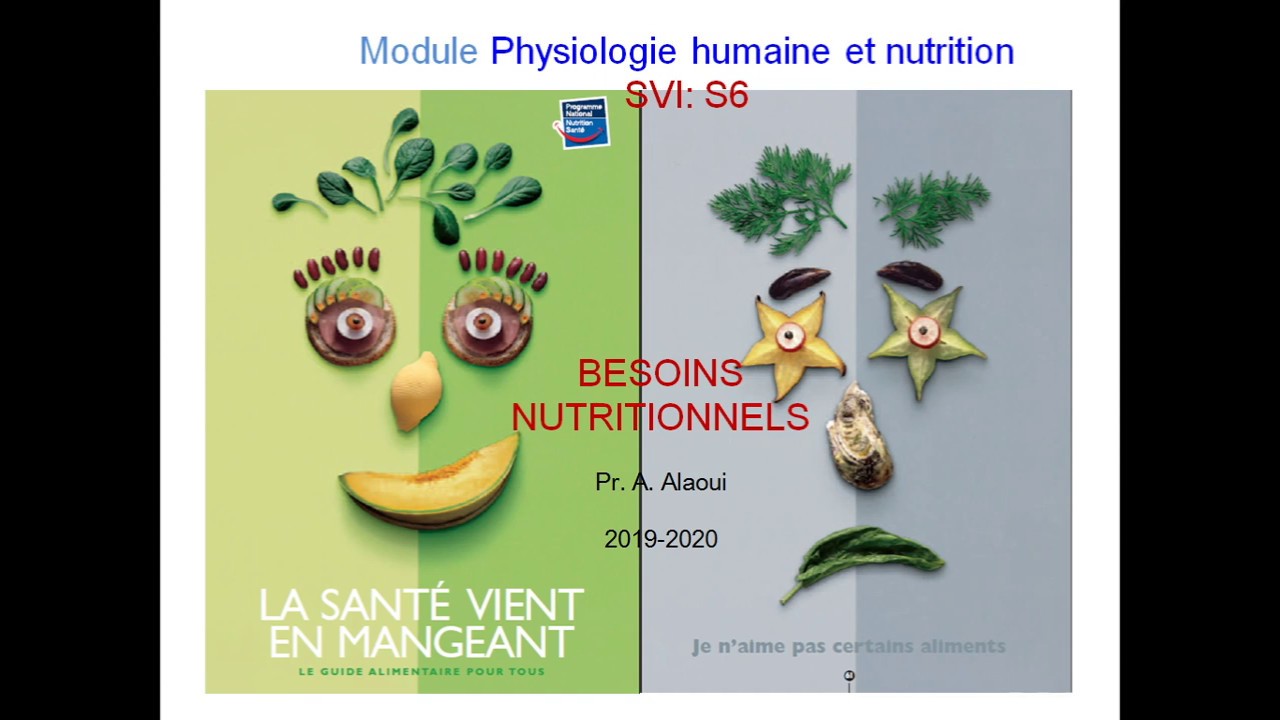 Cours (Séquence I : Besoins Nutritionnels) - Physiologie Humaine et ...