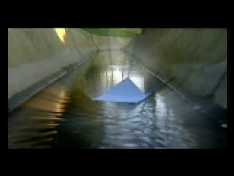 Kazım Gürkan-Deli Ceyran