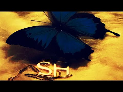 Shahram Shabpareh - Koocheh Koocheh (Negaram) | (شهرام شب پره -  کوچه به کوچه (نگارم