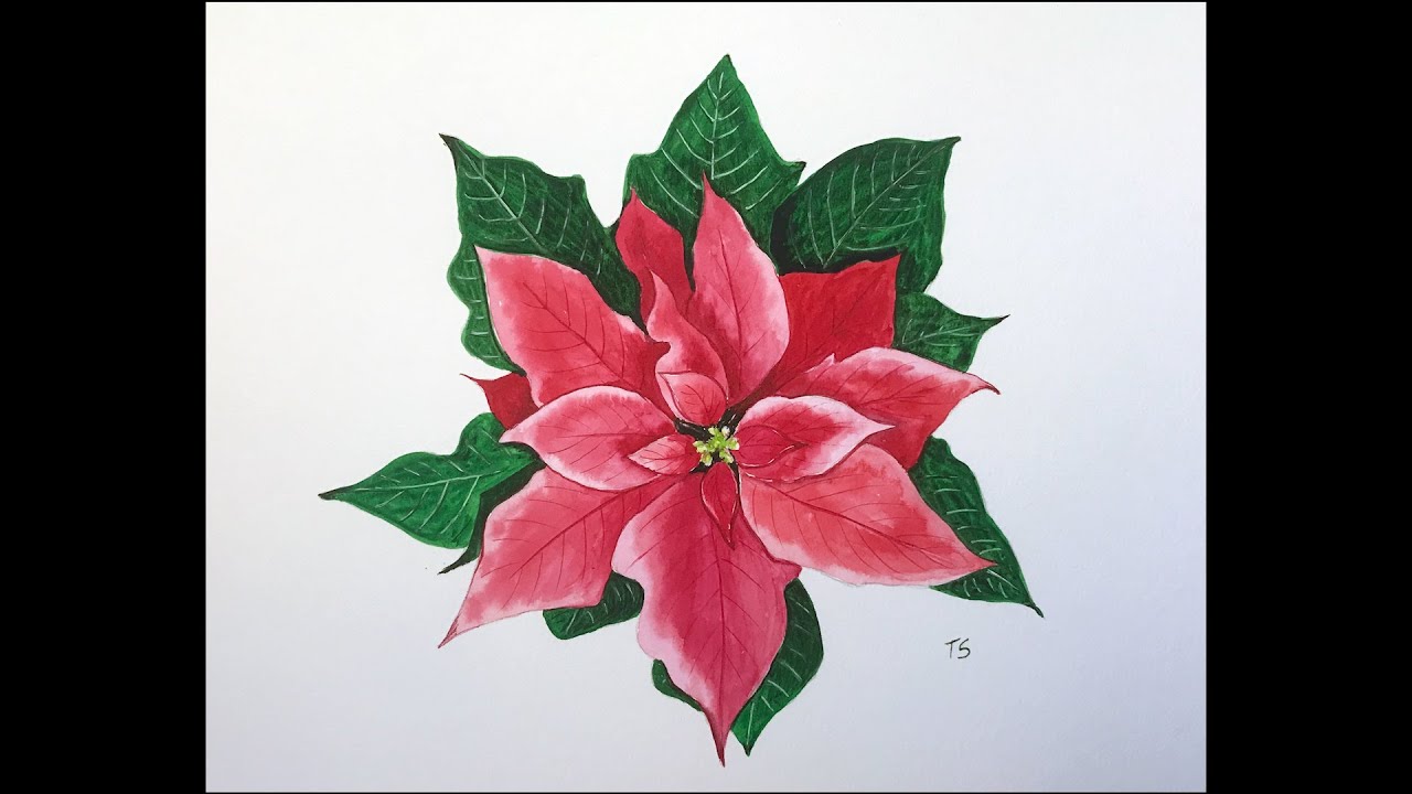 Watercolor Christmas Star Flower - YouTube