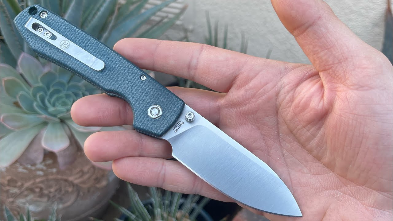 Vosteed raccoon review - YouTube