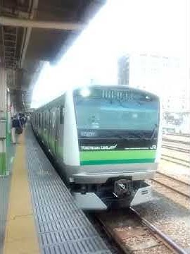 E233系6000番台クラH019編成八王子発車 - YouTube