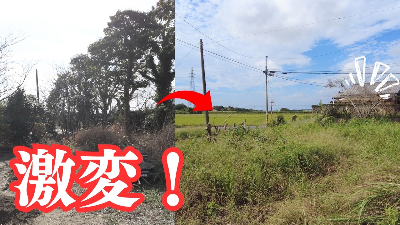 【開拓05】庭木と垣根を完全伐採！ジャングルから一気に視界がひらけて景色が激変！ - YouTube
