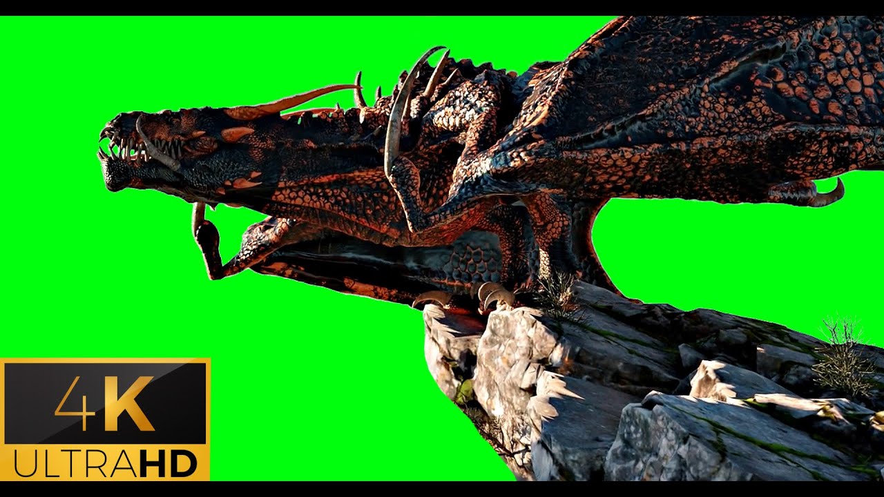 Dragon Green Screen Effect 4K Free - YouTube
