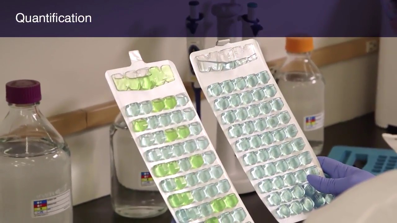 Enterolert DW User s Guide UK - YouTube