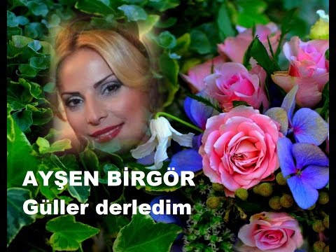 AYŞEN BİRGÖR Güller derledim ikimiz için