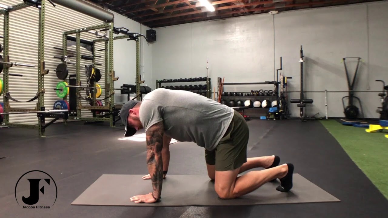 Cat-Cow Circles Tutorial - YouTube