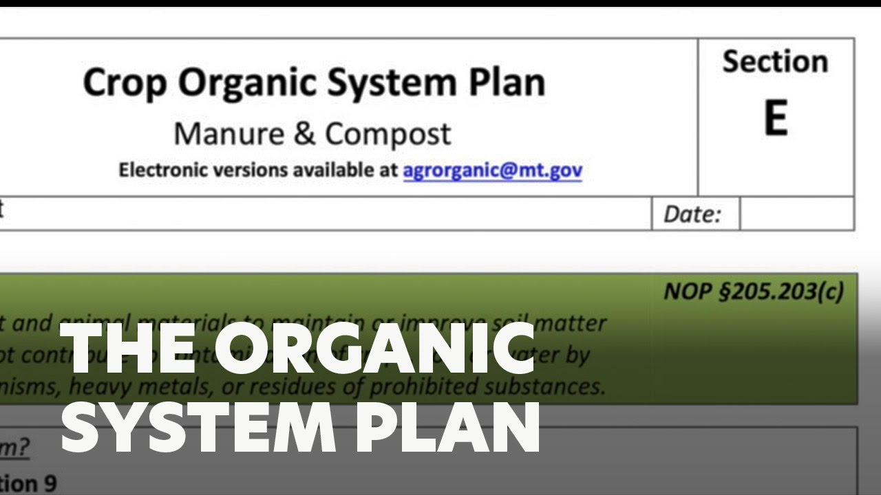 The Organic System Plan - YouTube