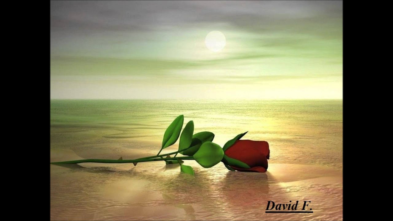 Te regalo Una Rosa - Juan Luis Guerra - YouTube