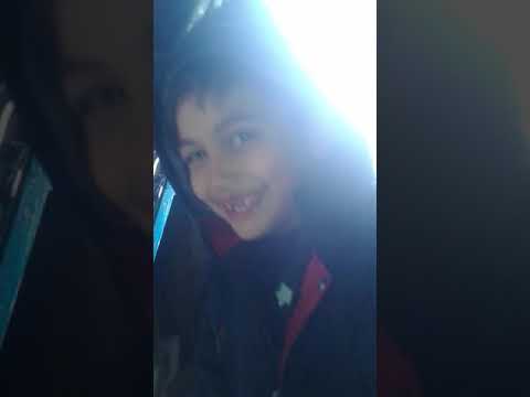Gulmeli video.01