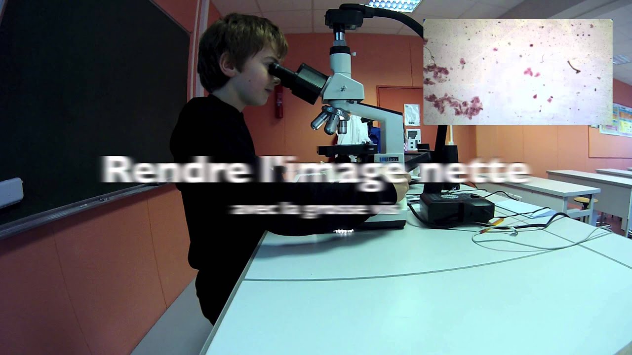 Comment utiliser un microscope en 1 minute - YouTube