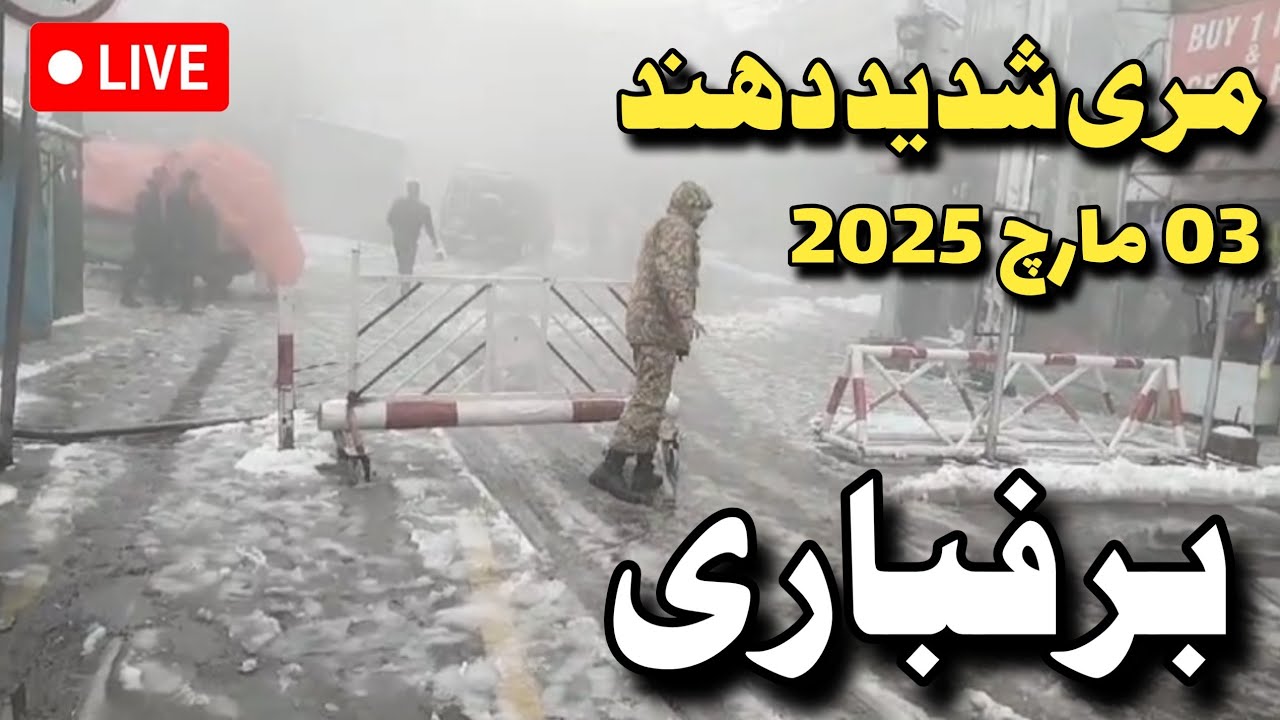 murree live snow | #murree snowfall update | #nathiagali changla Gali ...
