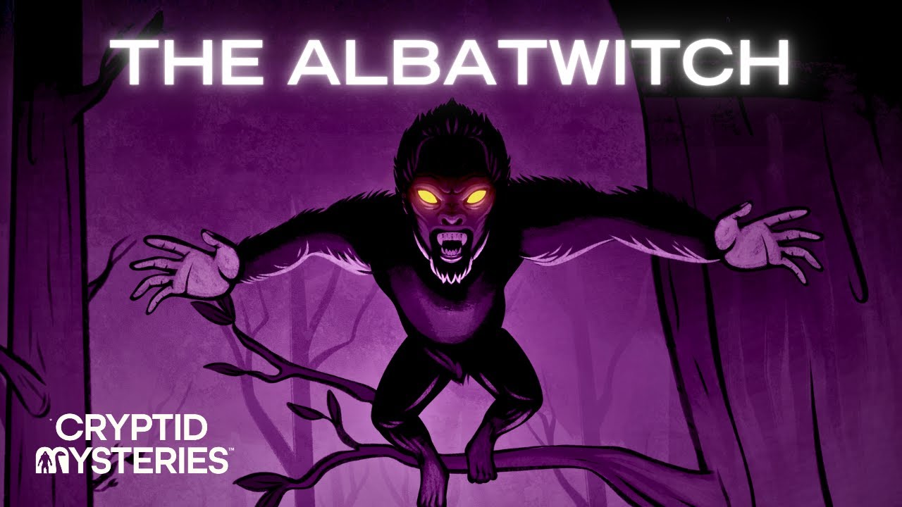Investigating The Legendary Albatwitch. Do They Really Exist? | CRYPID ...