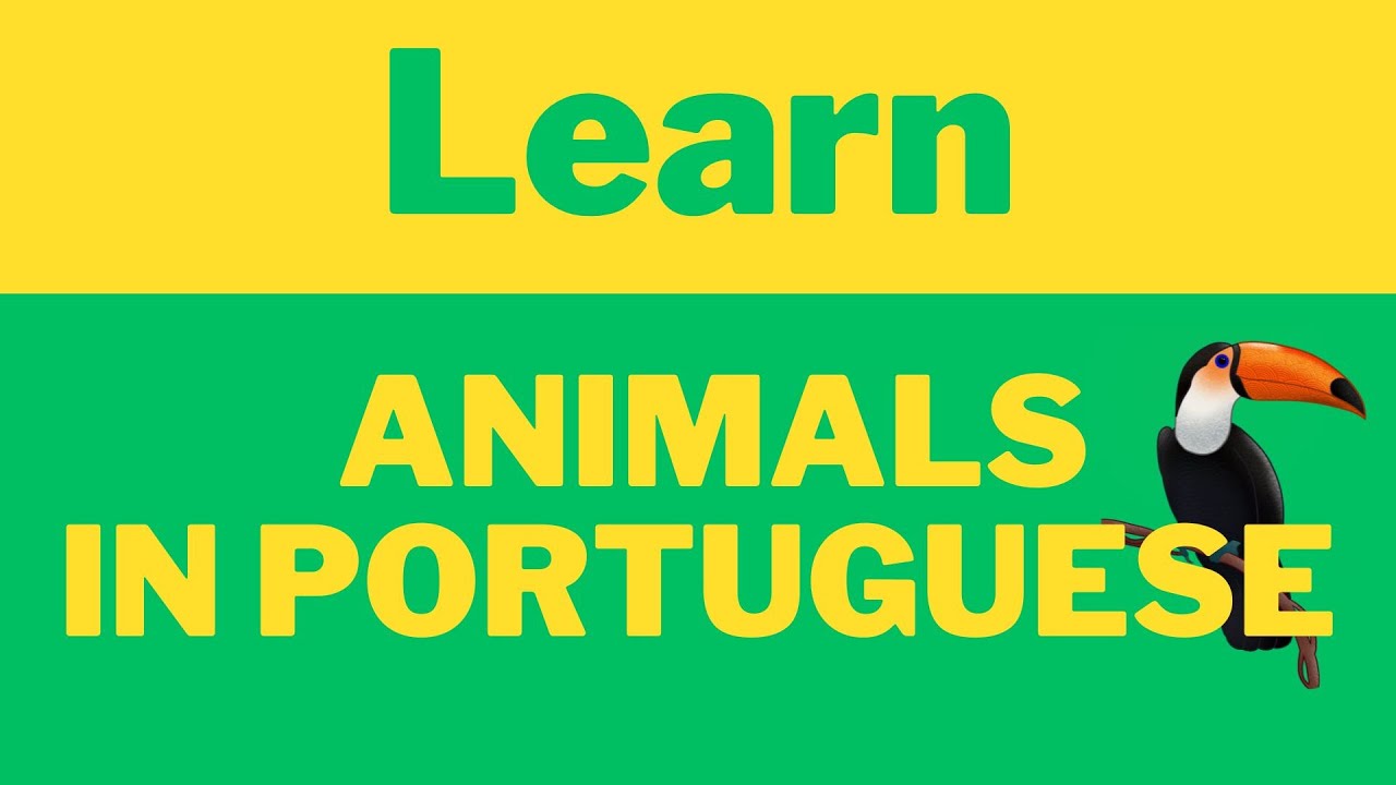 Brazilian Portuguese Class: Learn Animals in Portuguese - YouTube