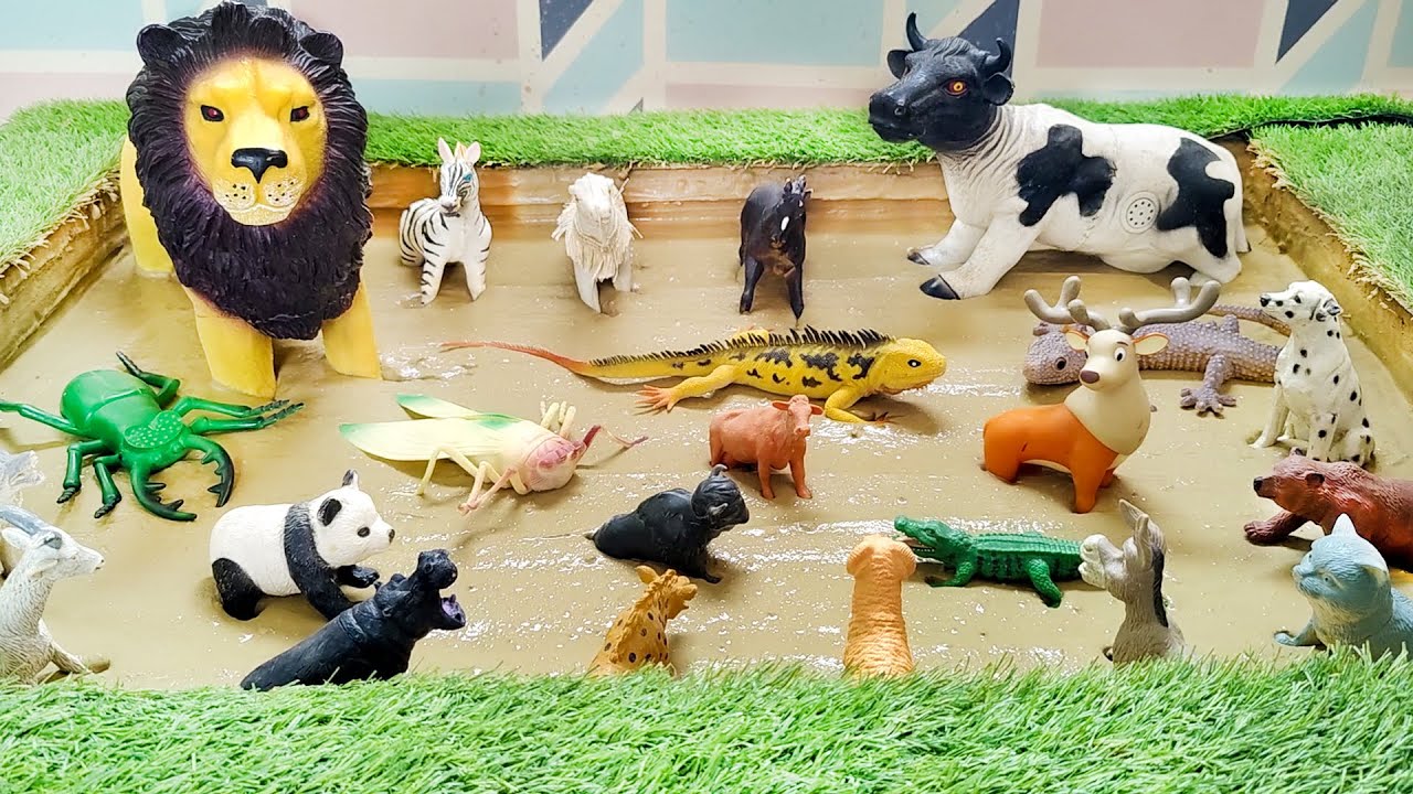 Savannah Animals Meet with Wild Jungle Animals in Exotic Sandbox ...