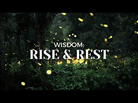 Wisdom: Rise & Rest - YouTube