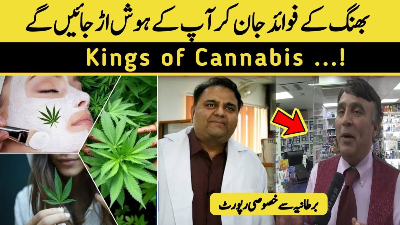 Pakistan's Medical Cannabis Revolution | The Potential Benefits of Hemp ...
