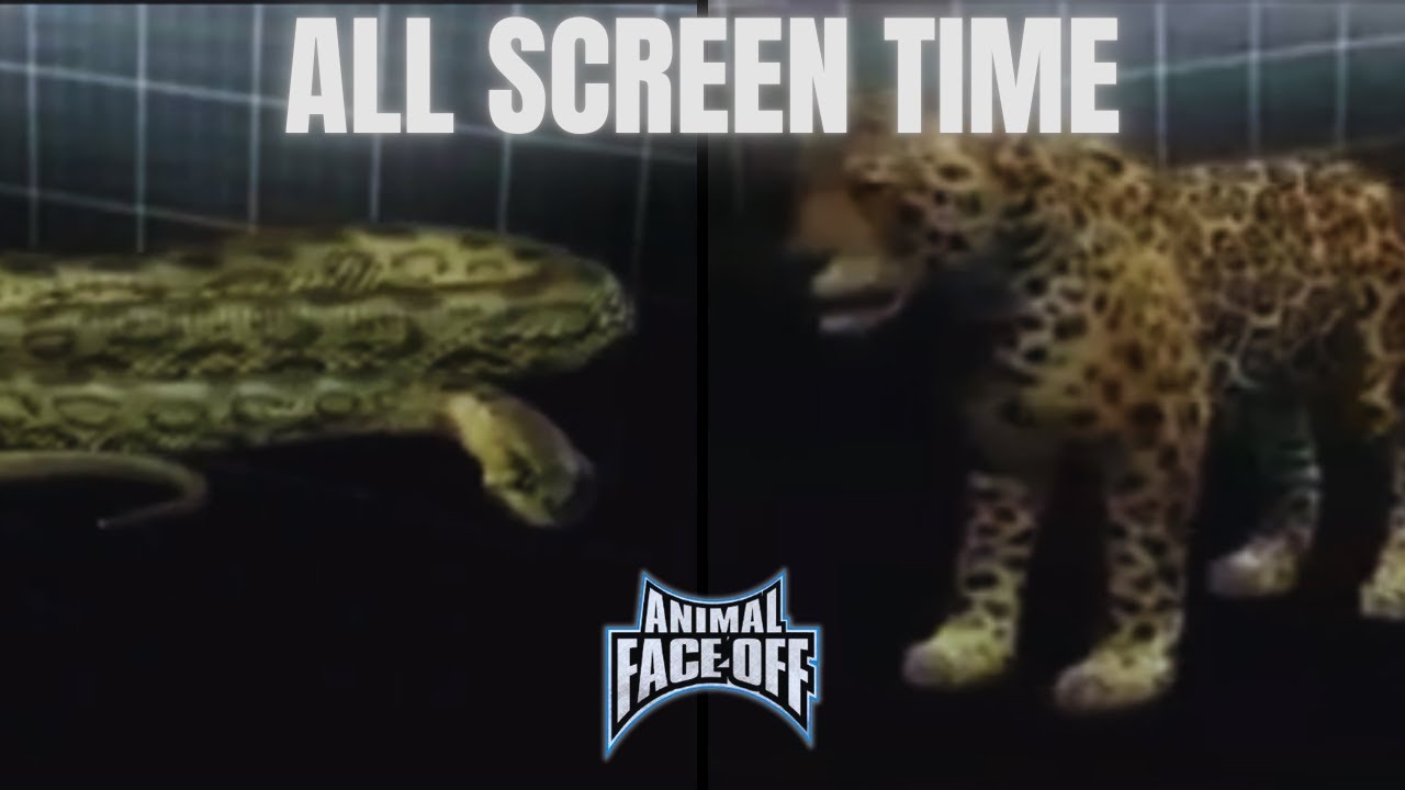 Animal Face-Off [2004] | All Virtual Anaconda and Jaguar Screen Time ...