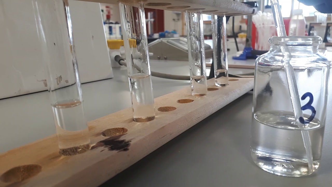 Lab Practical 3 Unknown 3 Test 2 Solubility in Water - YouTube