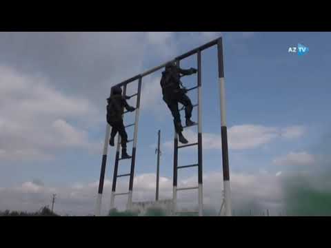 Xususi teyinatli deste canavar