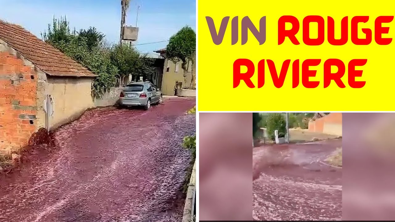Rivière du vin en portugais | Rivière unique de vin rouge | Rivière de ...