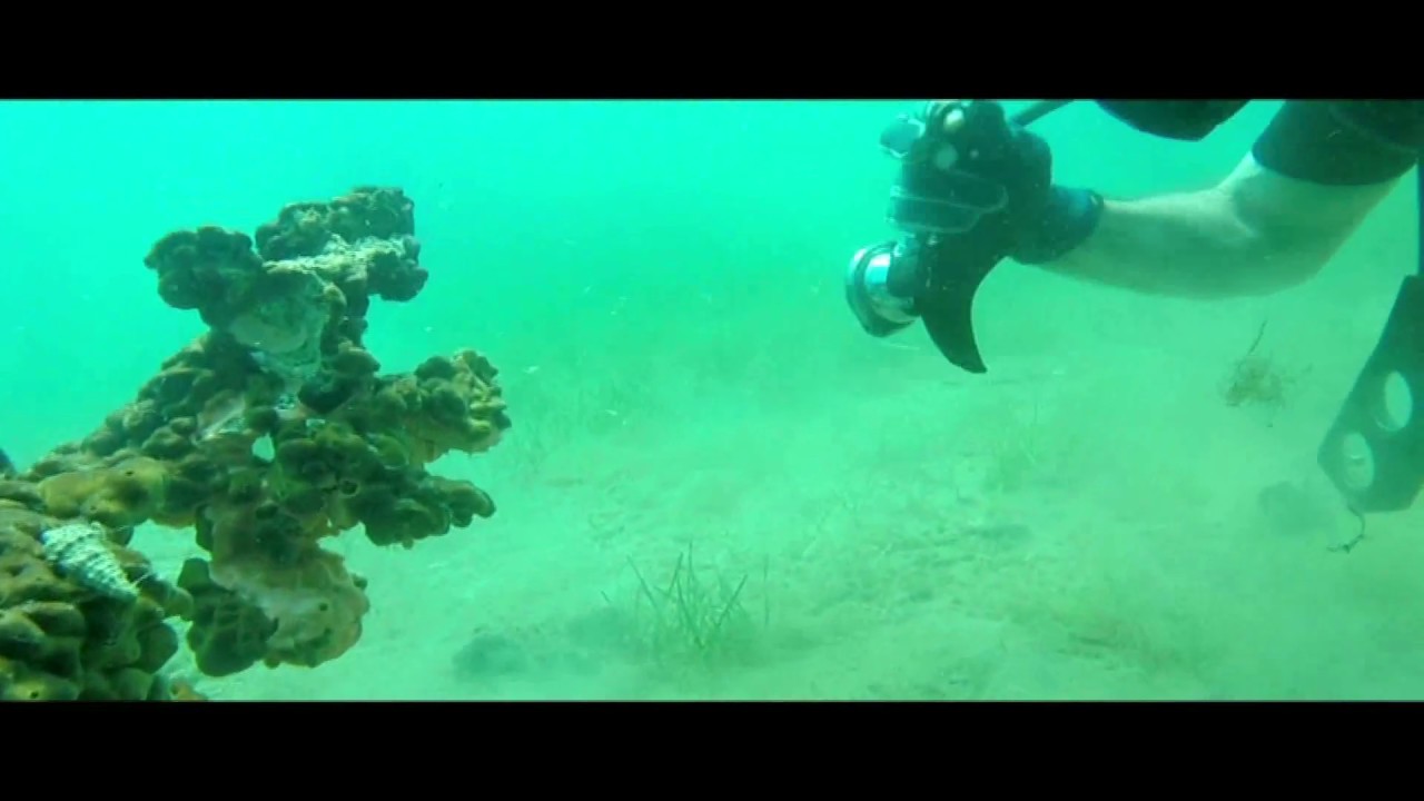 17 meters scuba diving at Agria-Volou Greece with O.A.D.B and GoPro ...