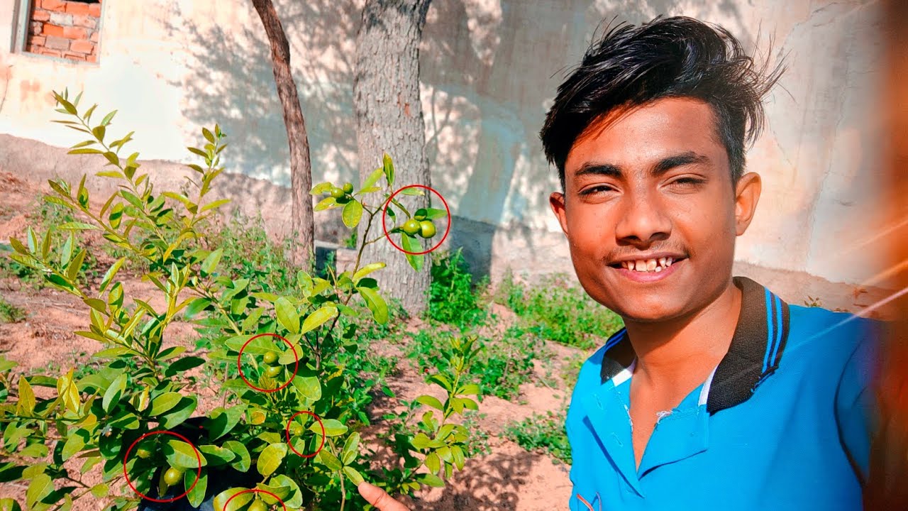 chote khet me 52 podhe - YouTube