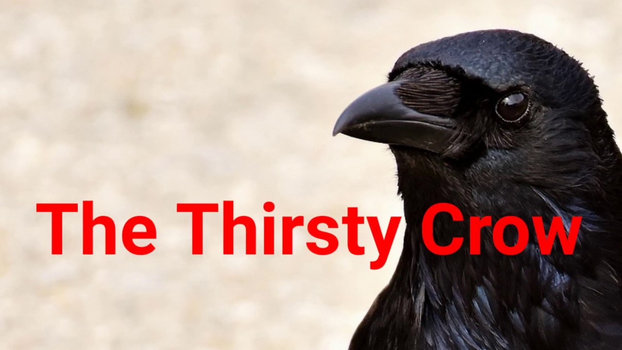 Thirsty Crow | Moral Story - YouTube