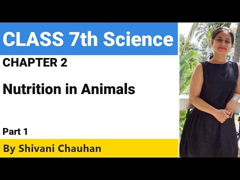 Class7th Science chapter 2 Nutrition in Animals part 1 full explanation ...
