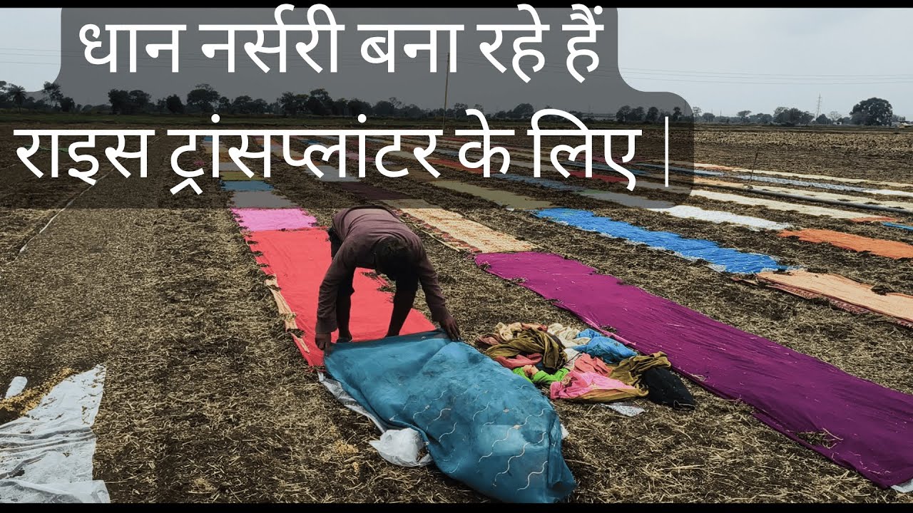 Dhaan Nursery Bana Rahe Hain Rice Transplanter Ke Liye | Farmism - YouTube